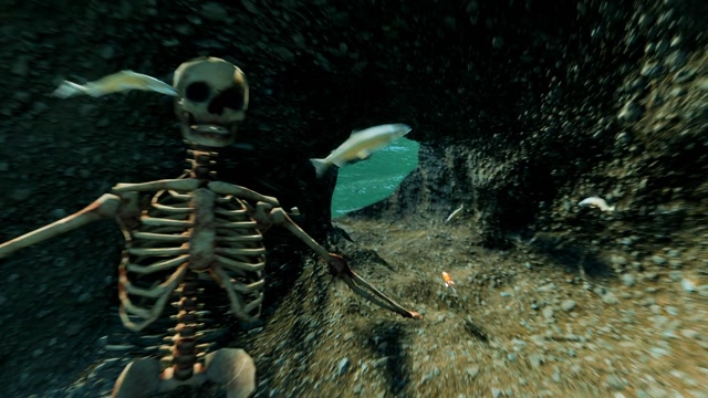 Skeletons In Water Stock Footage: Royalty-Free Video Clips - Storyblocks