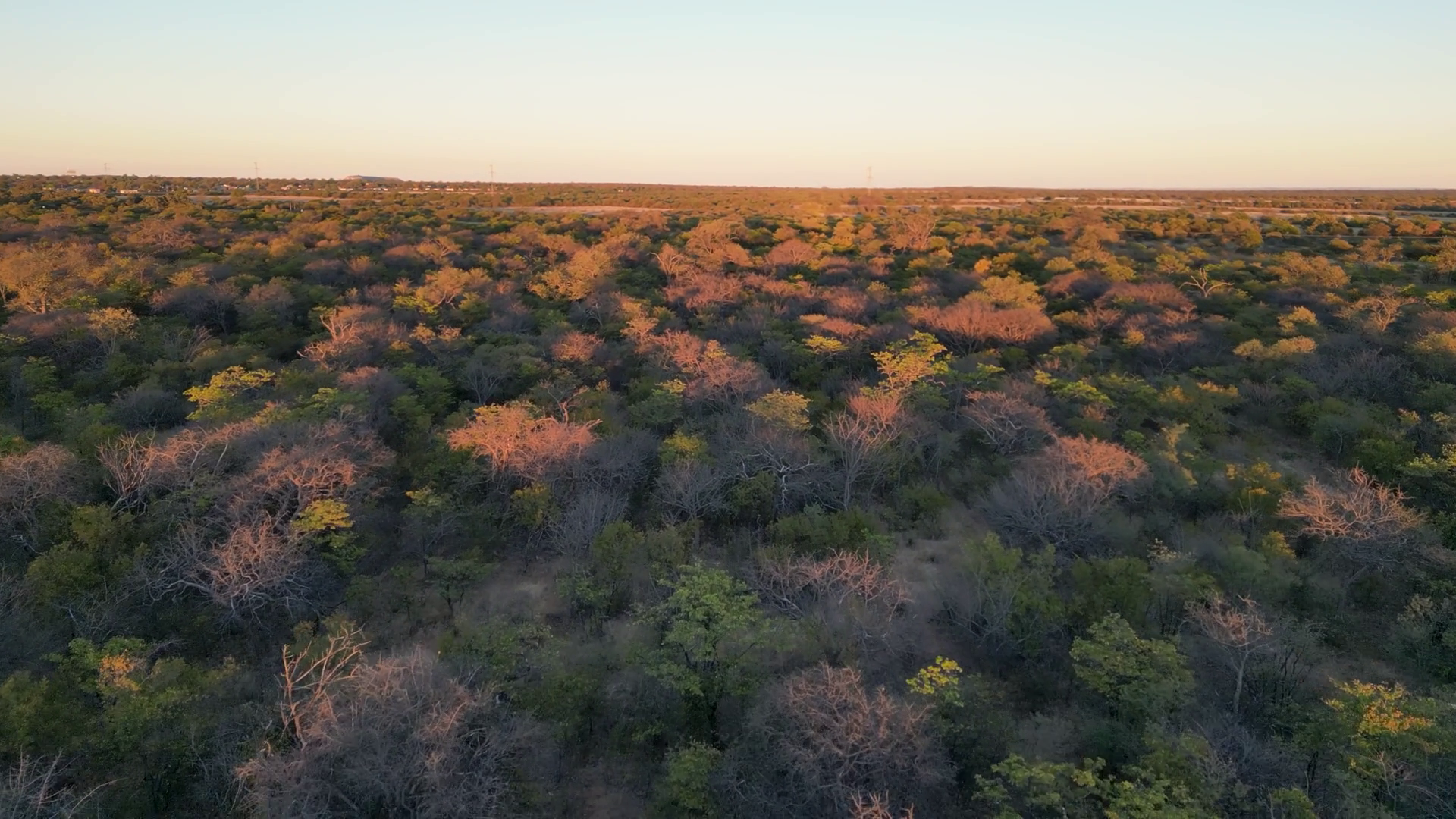Aerial View African Sunset Over Bush Typical Stock Footage SBV ...