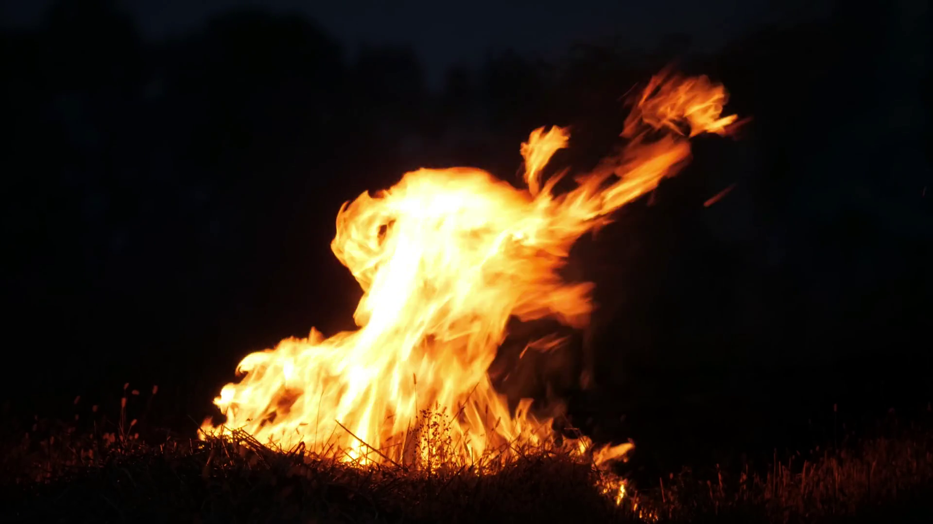 Yellow Fire With Black Background High Flame Stock Footage SBV ...