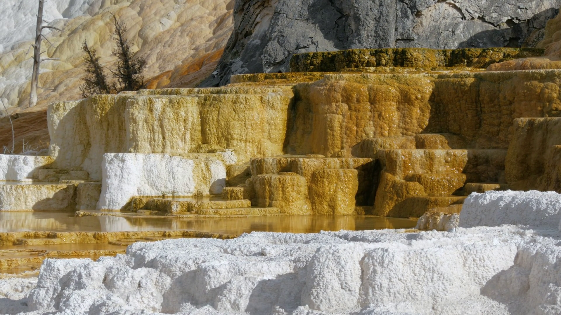 Yellowstone Travertine Terrace Mammoth Hot Stock Footage SBV-352089766 ...