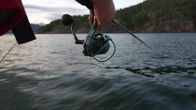 Boat Fishing | Animals stock footage - Storyblocks