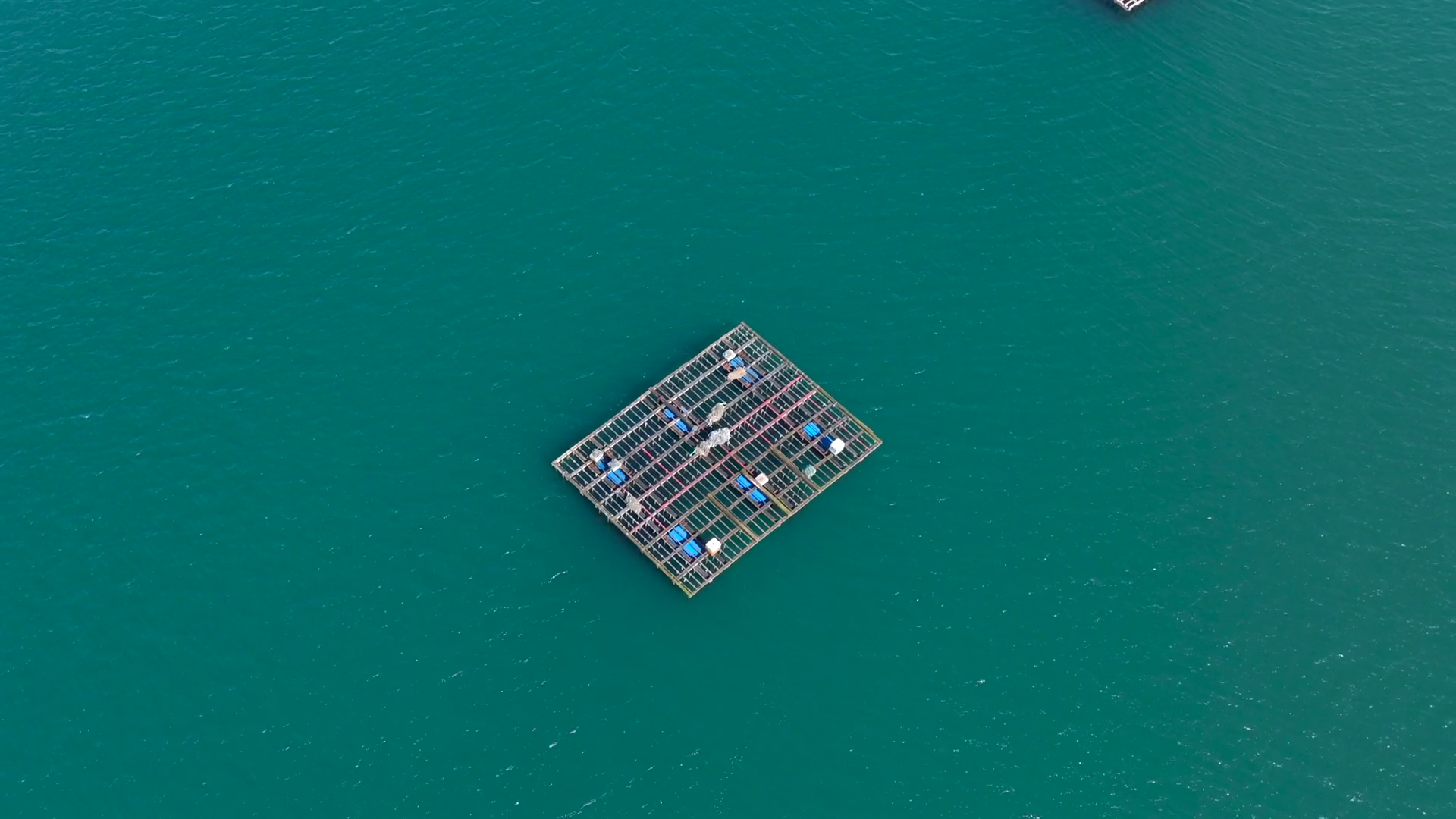 Aerial View Of Mussel Farms Cultivating With Stock Footage SBV ...