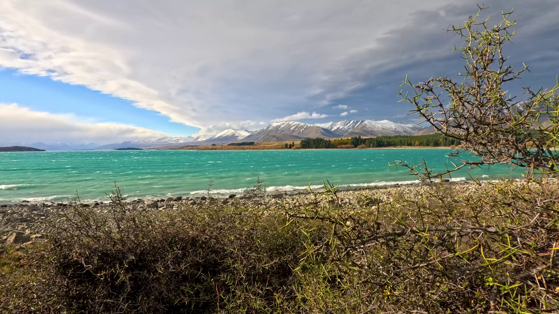 Windy Lake Tekapo Shoreline With Thorns Stock Footage SBV-352589484 ...