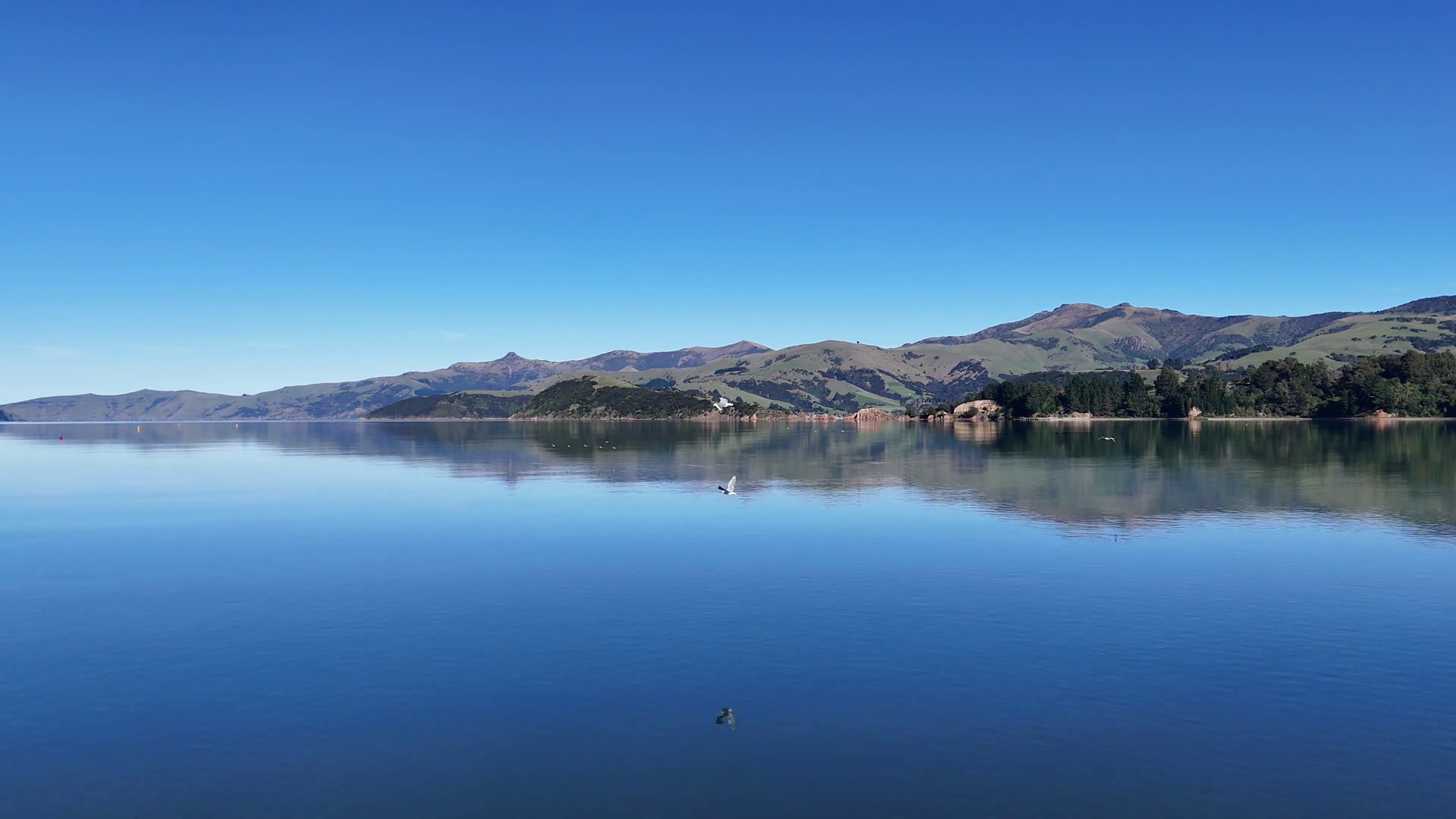 Serene Aerial View Of Akaroa Bay With Stock Footage SBV-352392775 ...