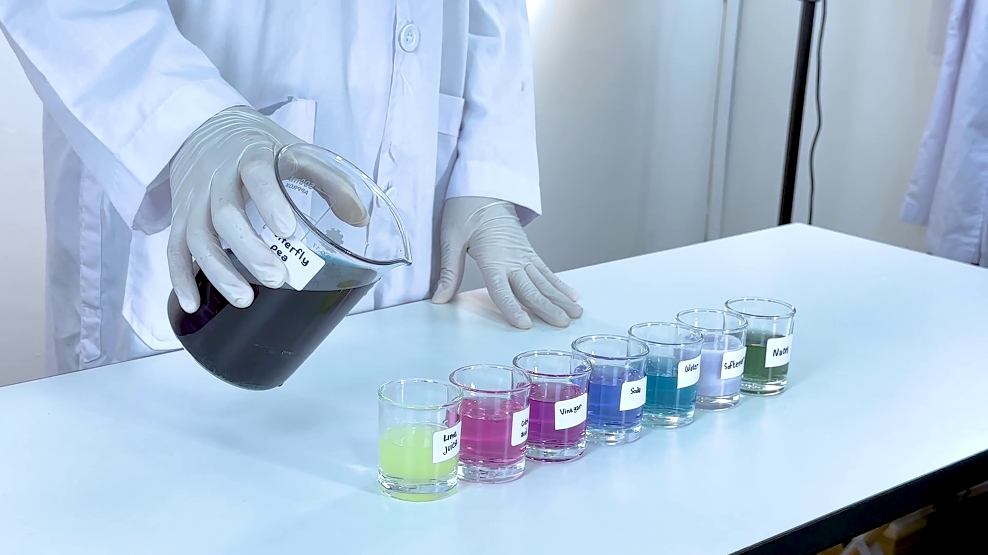 Color Change Science Experiment With Beakers Stock Footage SBV ...
