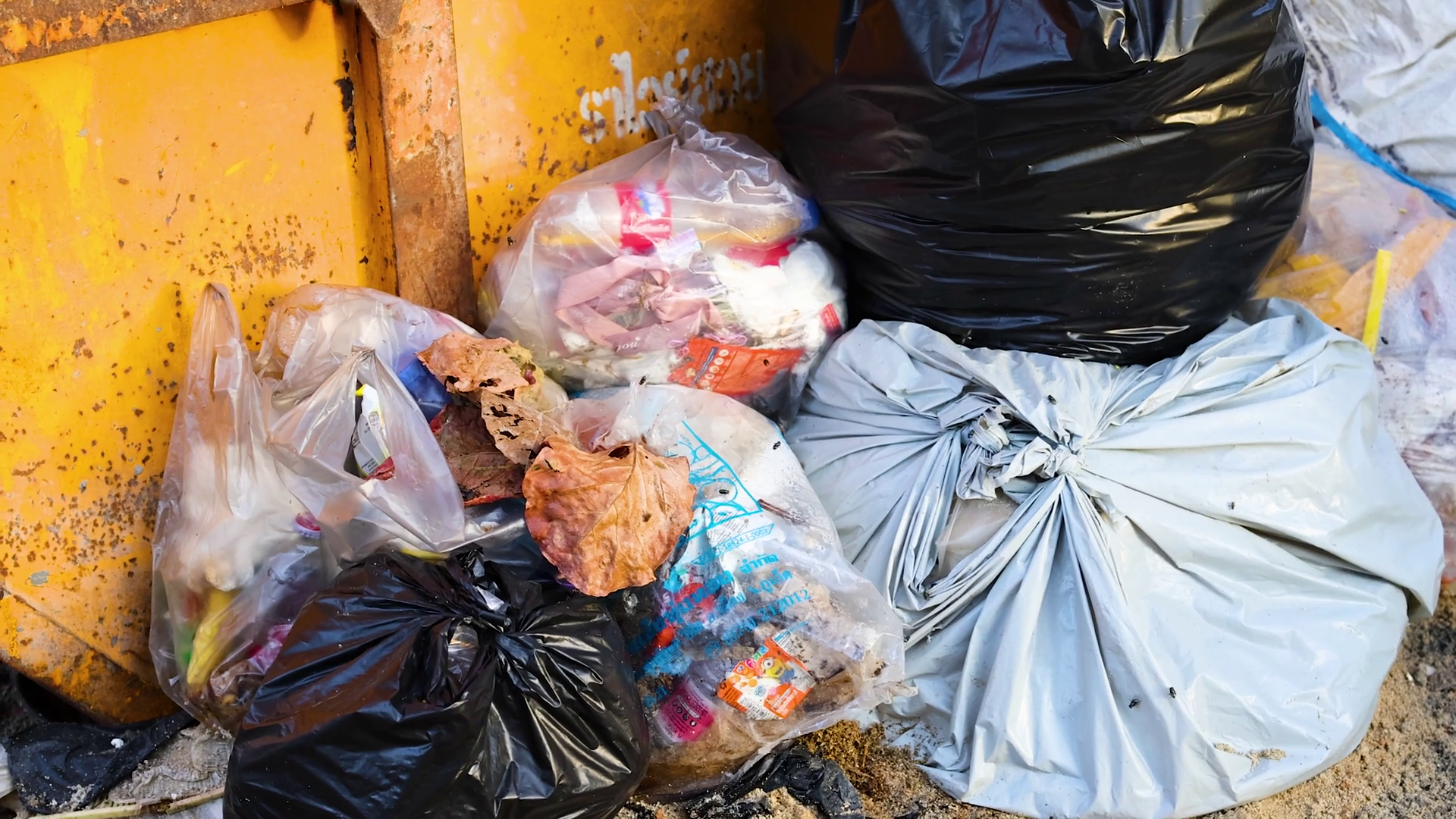 Overflowing Dumpster In Phuket Street Scene Stock Footage SBV-352535963 ...