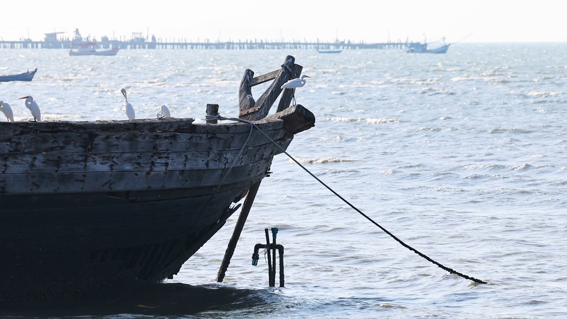 Old Fishing Ship Ibis In Pattaya Stock Footage SBV-352300454 - Storyblocks