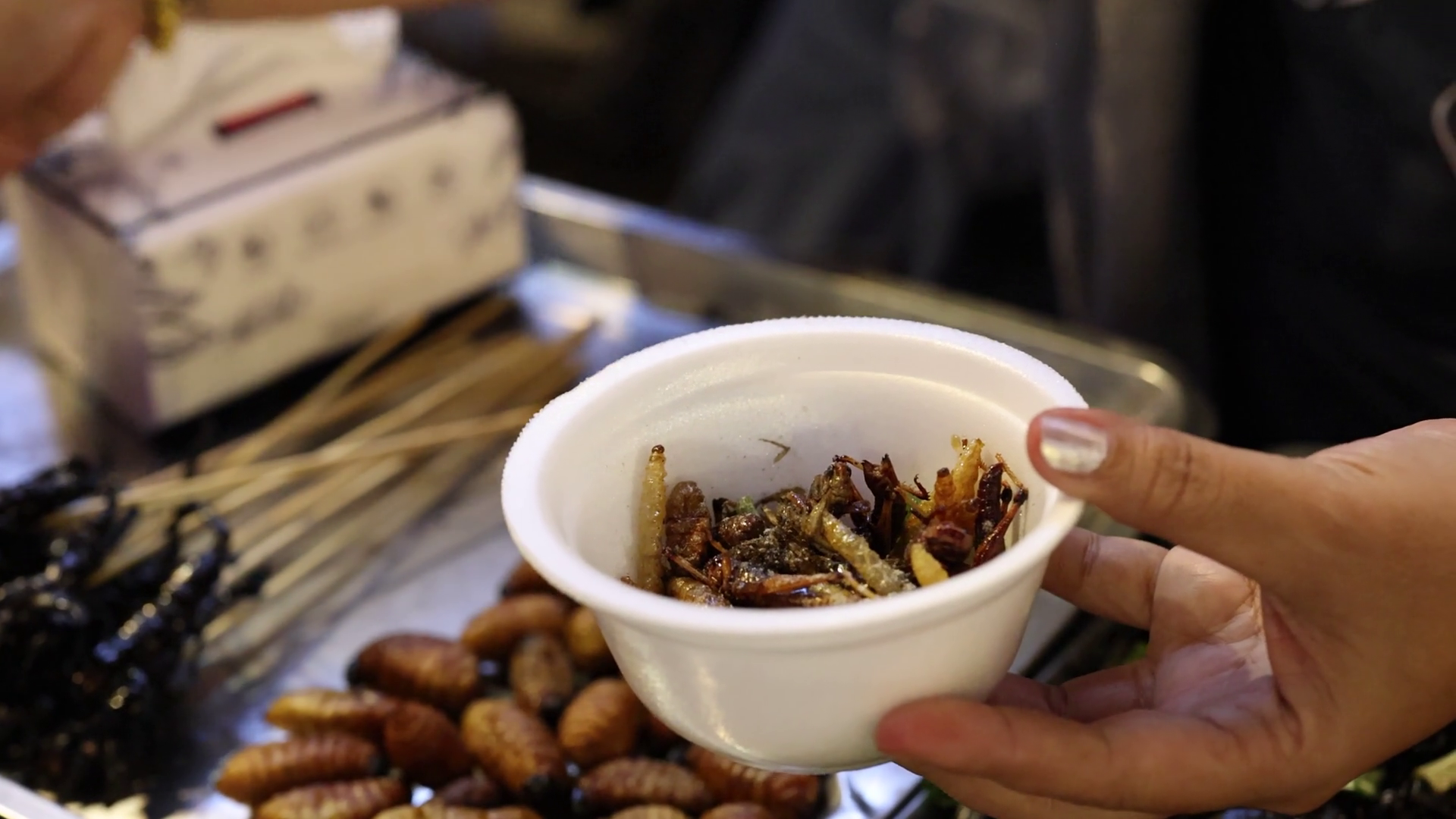 Vendor Prepares Edible Insect Snack At Stock Footage SBV-353456808 ...