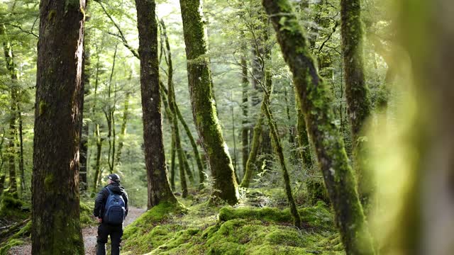 Man Walking Awat Stock Footage: Royalty-Free Video Clips - Storyblocks