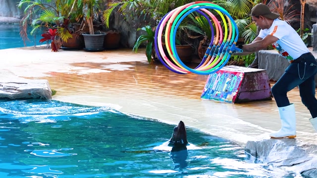 Thailand Performance Video Stock Footage: Royalty-Free Video Clips ...