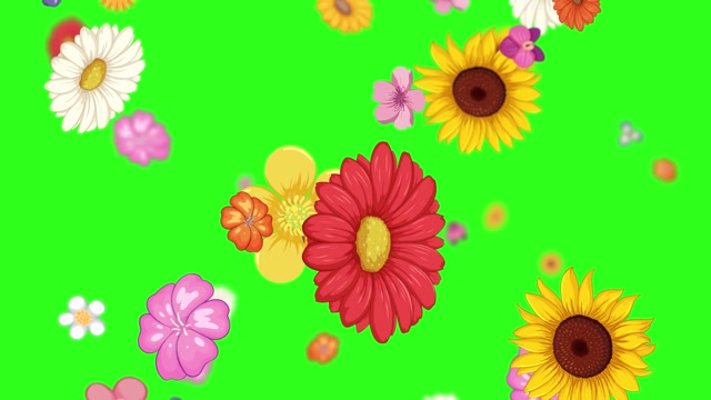 Falling Flowers Animation Stock Footage: Royalty-Free Video Clips ...
