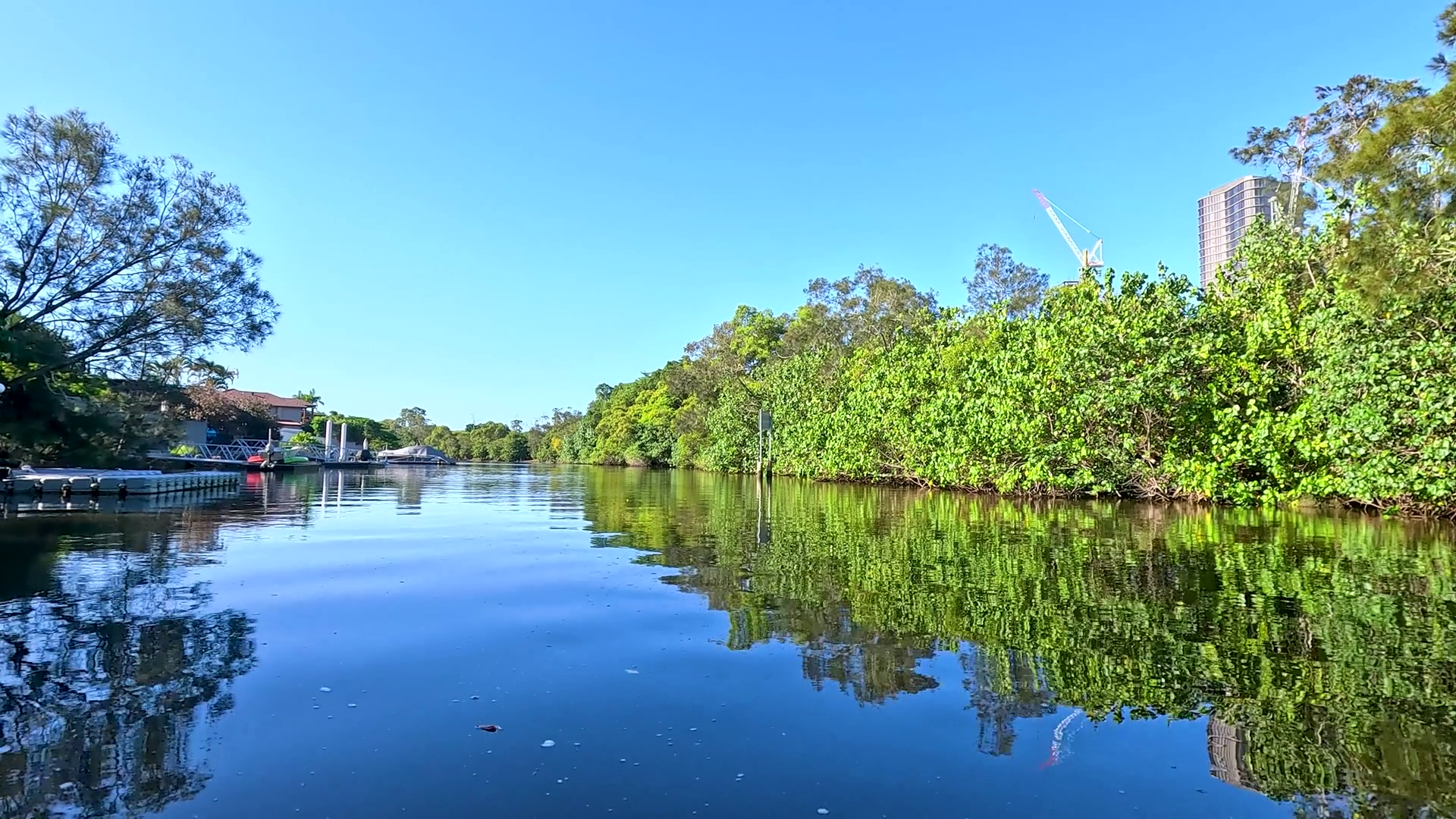 Cruise On Nerang River Gold Coast Stock Footage SBV-352443000 - Storyblocks