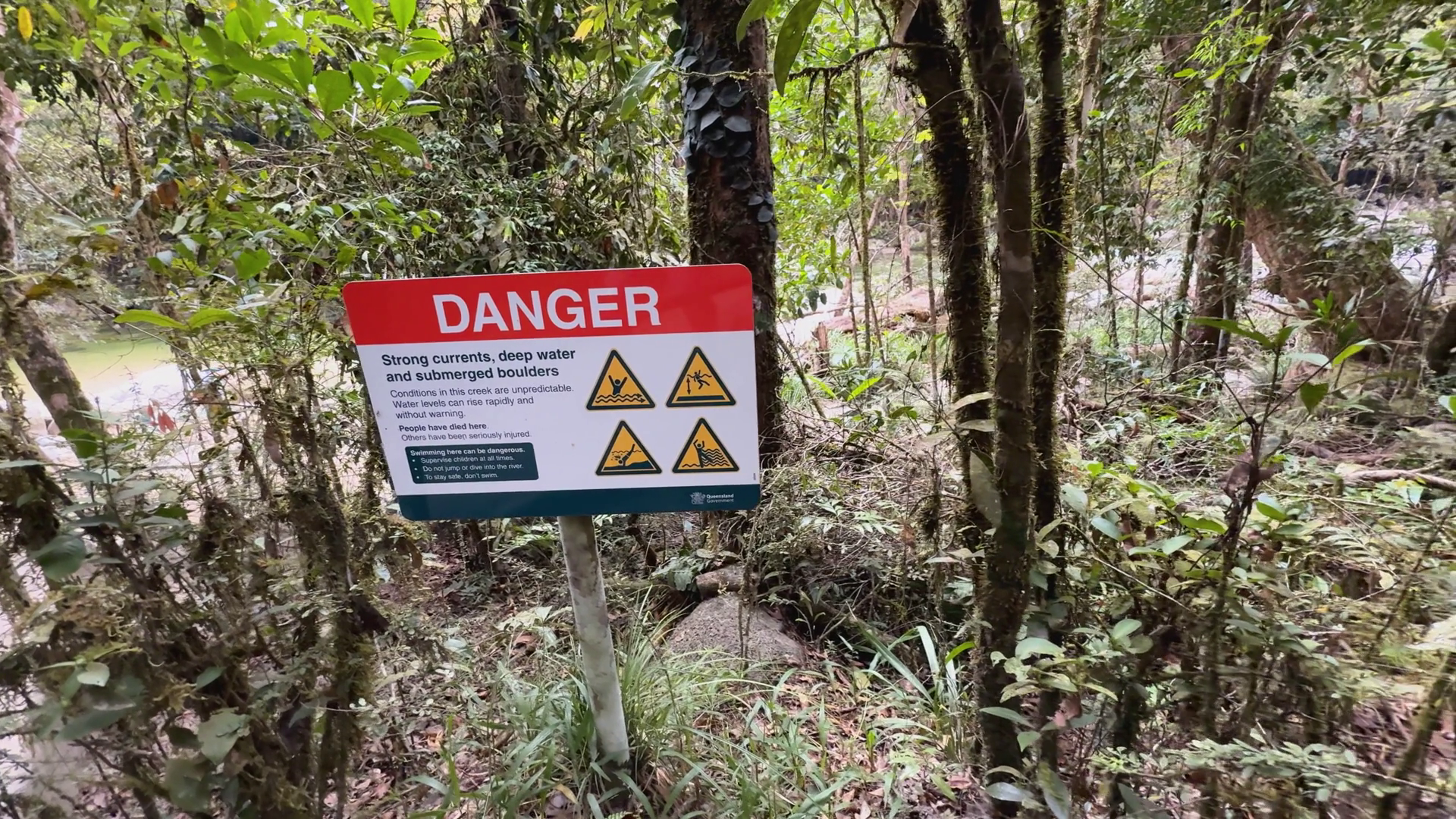 Danger Sign In Lush Daintree Rainforest Stock Footage SBV-352564266 ...