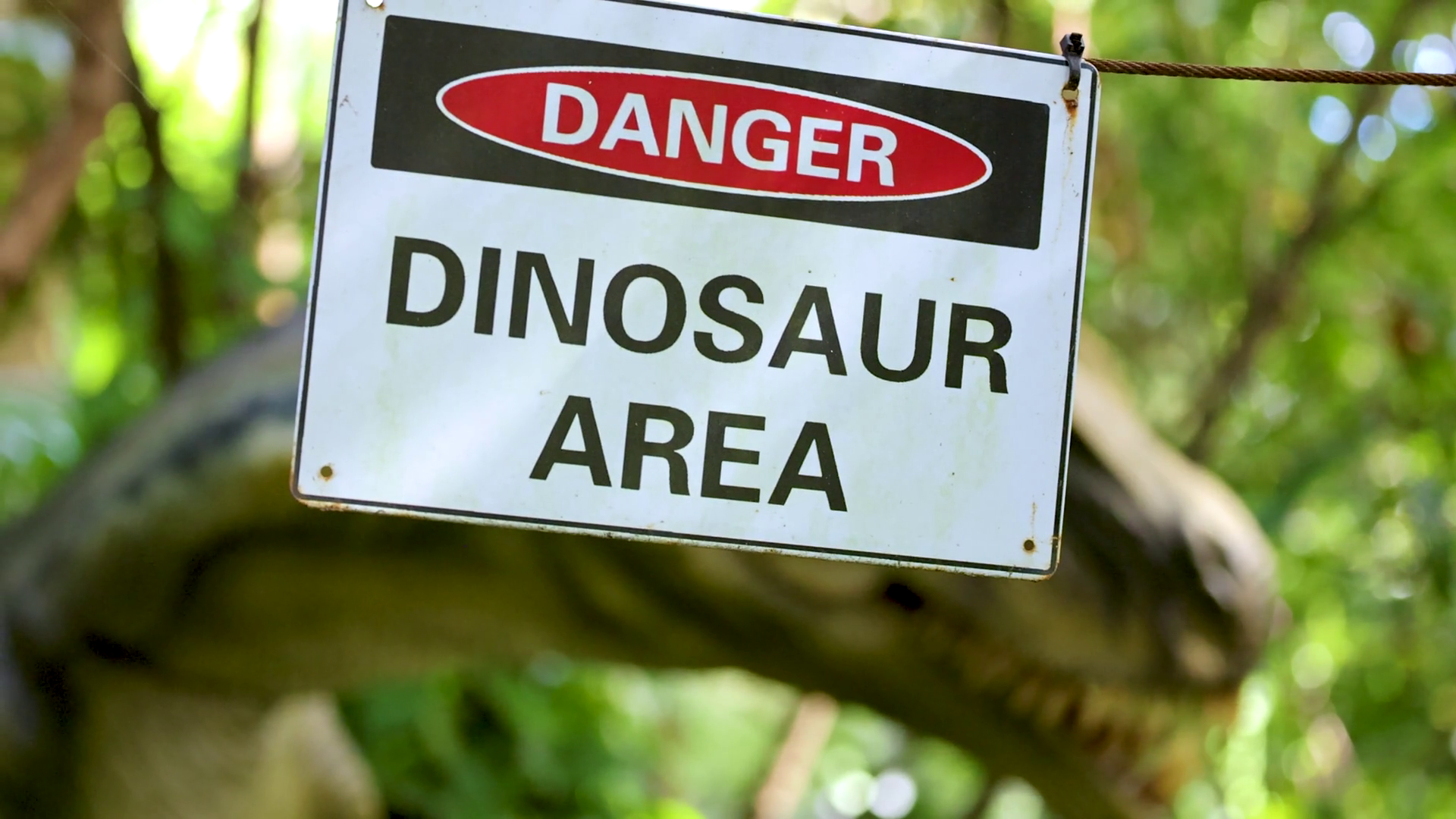 Animatronic Raptor Moves Behind Danger Stock Footage SBV-352564455 ...