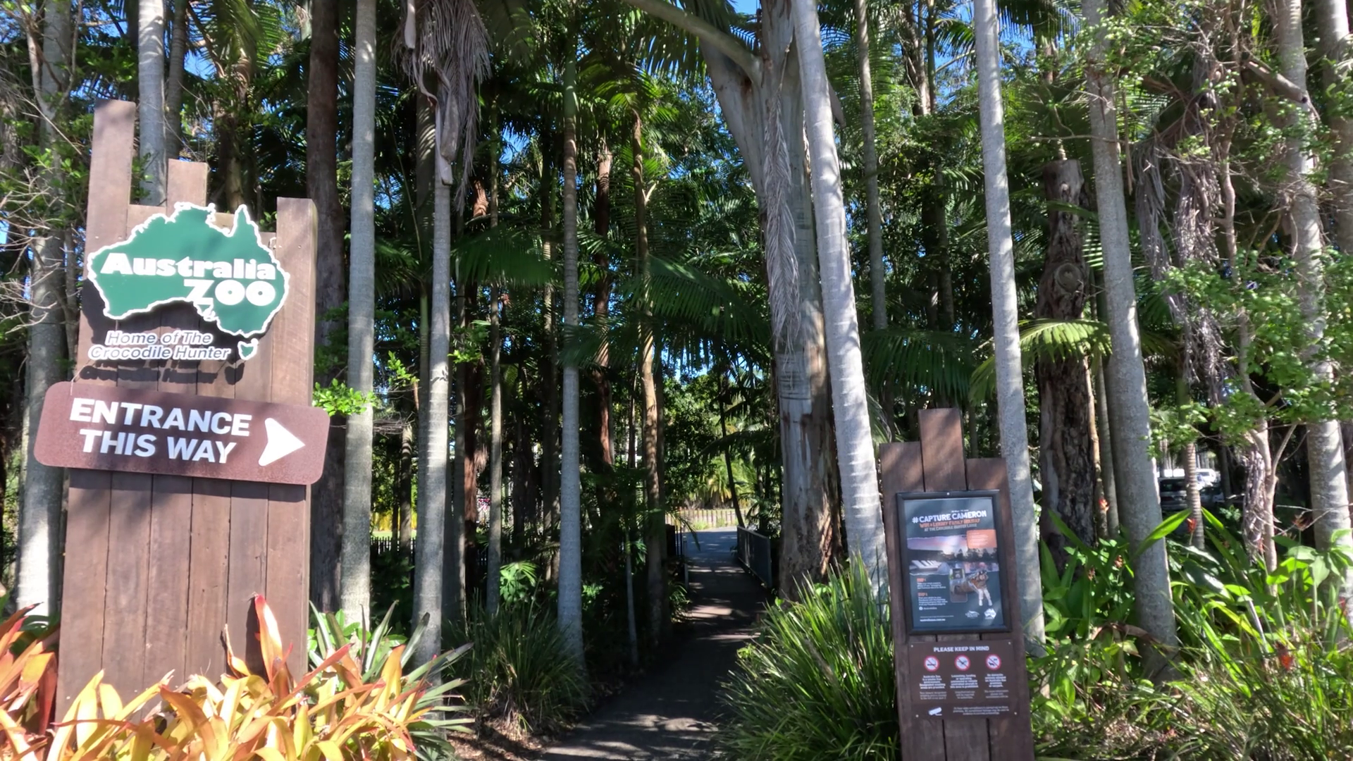 Pathway To Australia Zoo Entrance Stock Footage SBV-352696171 - Storyblocks