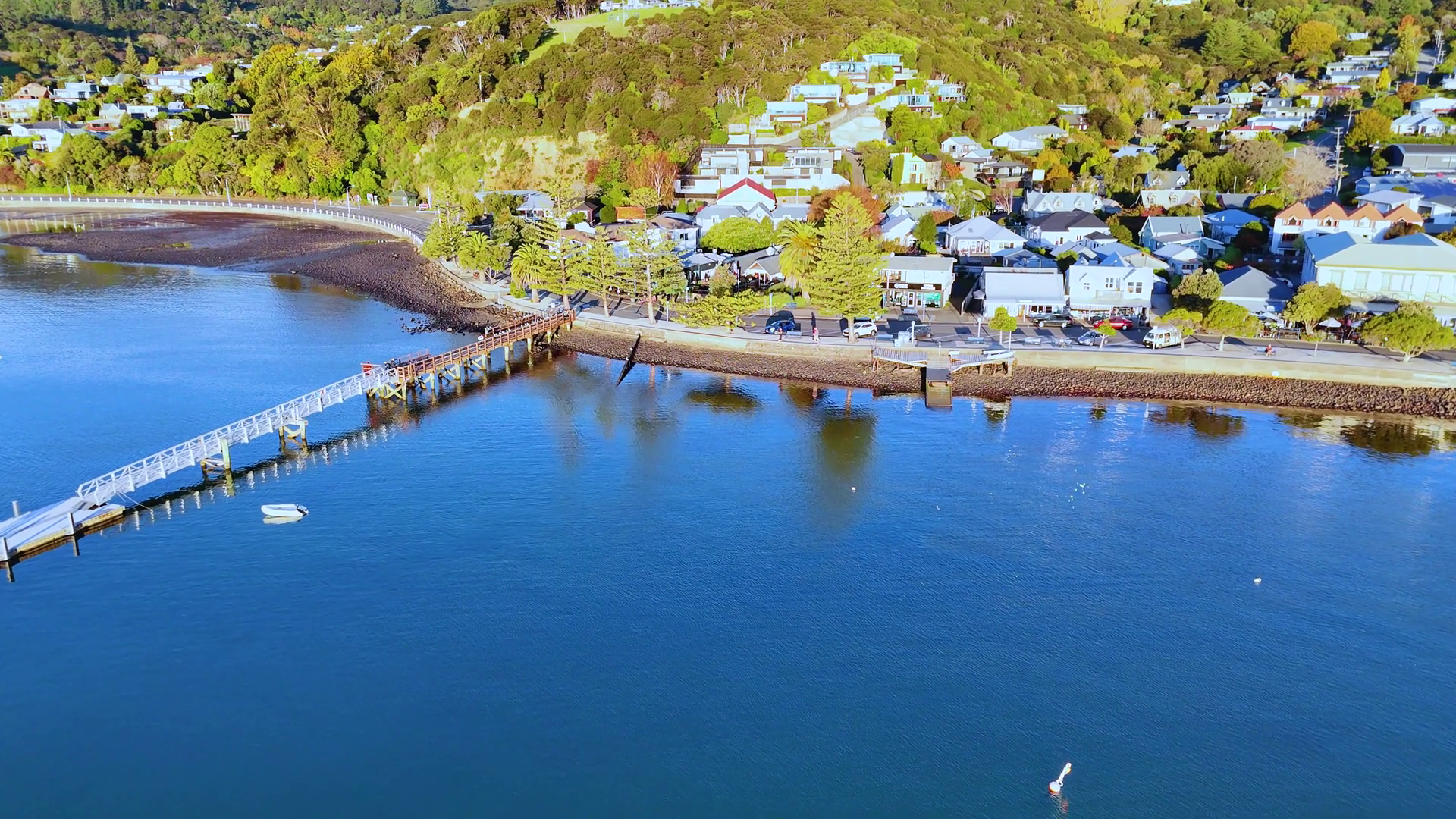 Aerial View Of Akaroa Harbour Pier Stock Footage SBV-352409423 ...