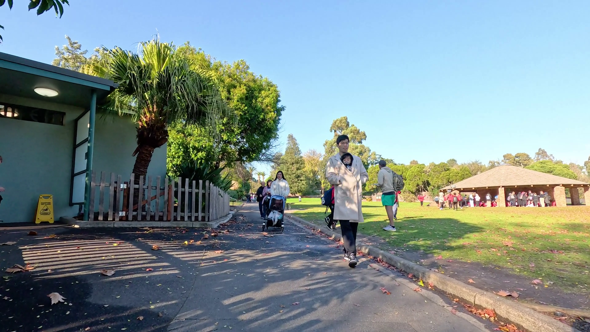 Visitors At Melbourne Zoo Pathway Stock Footage SBV-352405853 - Storyblocks
