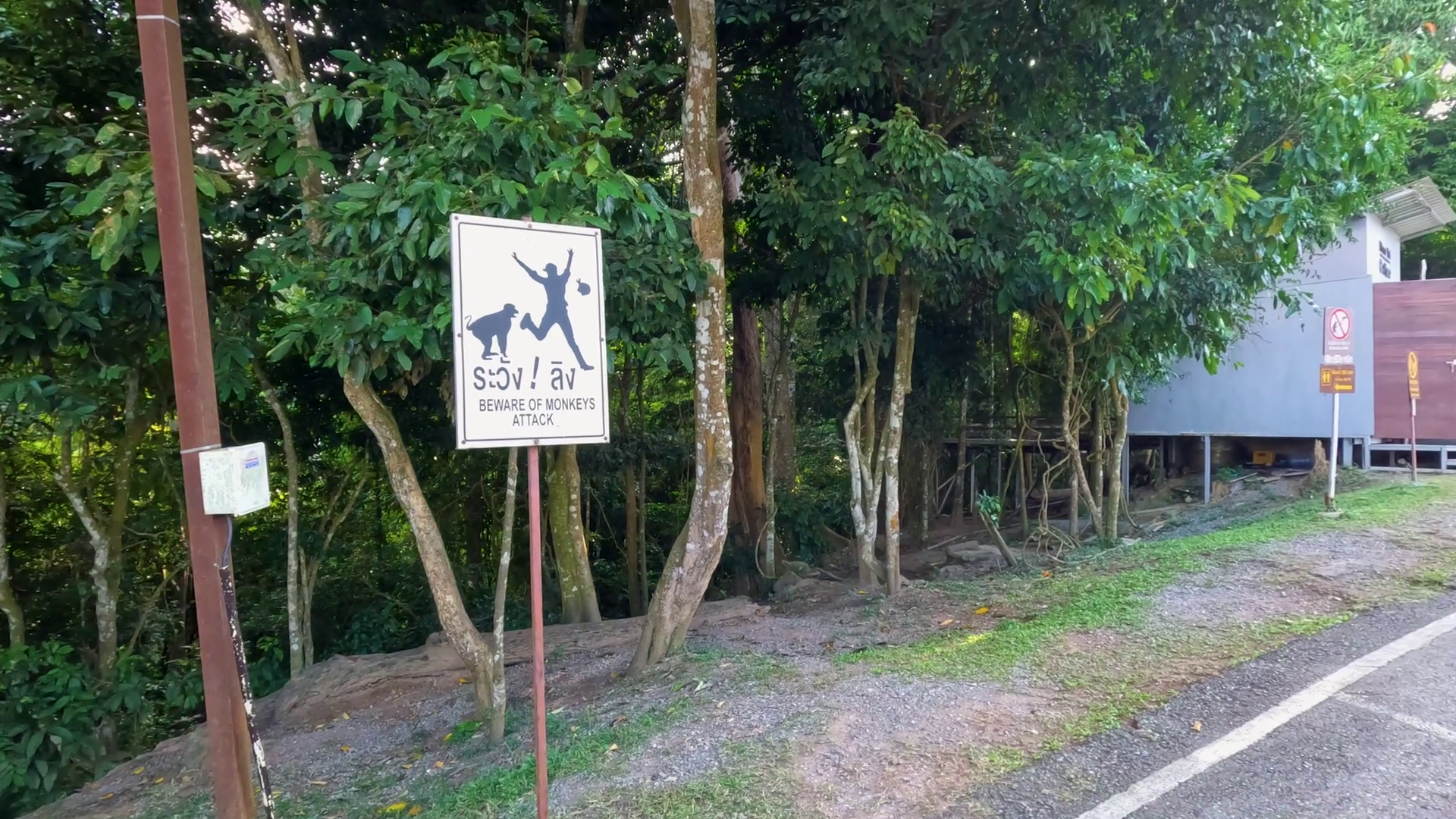Monkey Warning Sign In Khao Yai Stock Footage SBV-352796969 - Storyblocks