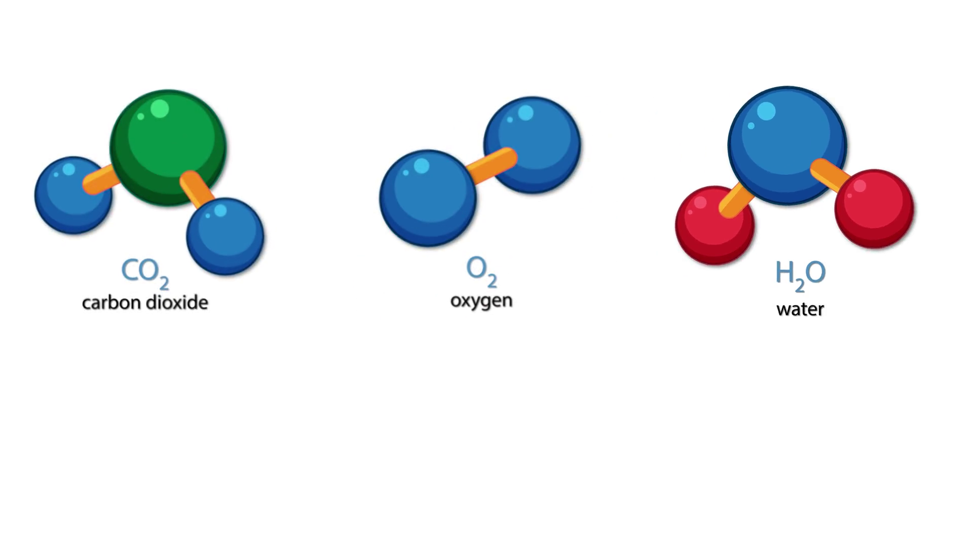 Molecular Animation Of Carbon Dioxide Oxygen Stock Footage SBV ...
