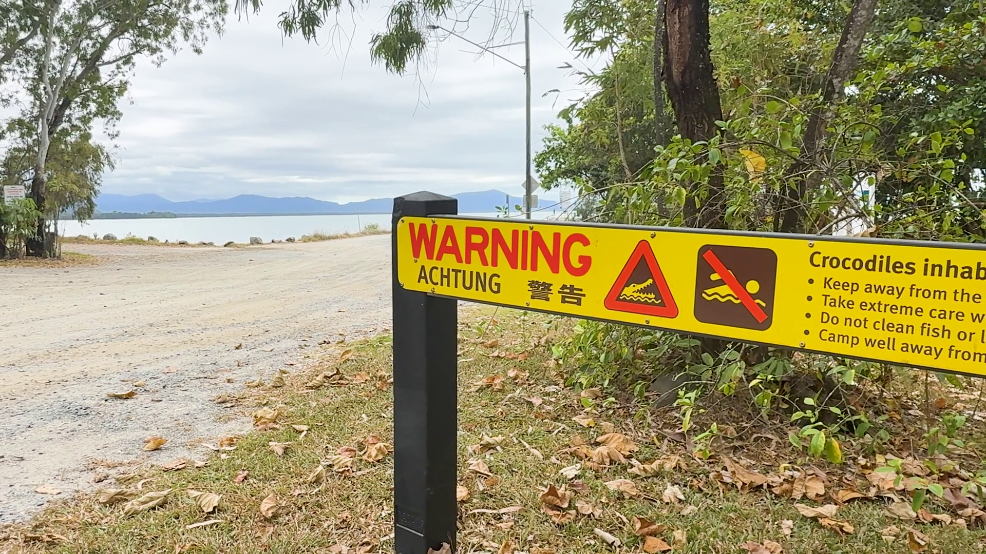 Crocodile Warning Sign In Daintree Rainforest Stock Footage SBV ...