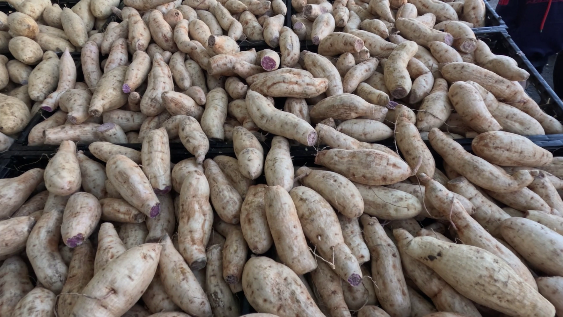 Sweet Potatoes At Vietnamese Market Stock Footage SBV-352803558 ...