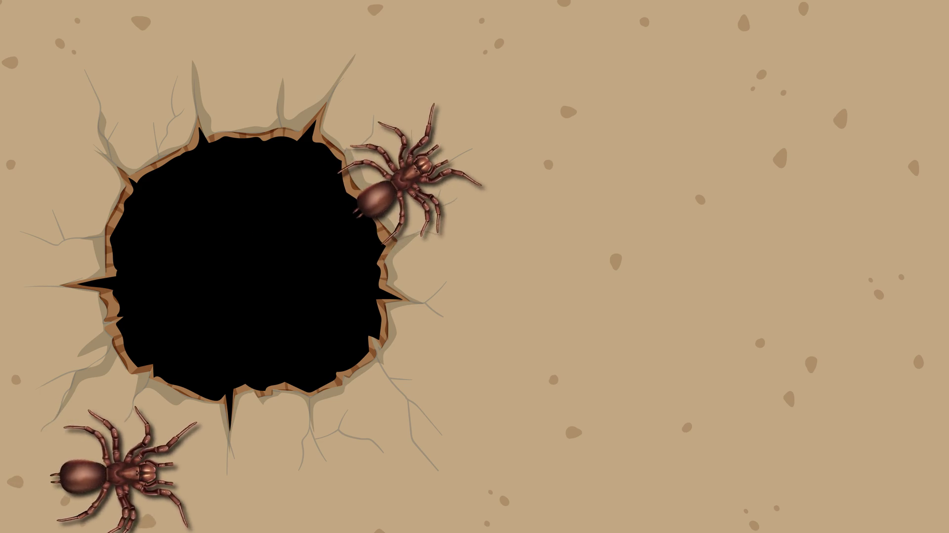 Spiders Emerge From Ground Holes In Animation Stock Footage SBV ...