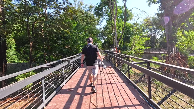 Walking By Bridge | Animals stock footage - Storyblocks