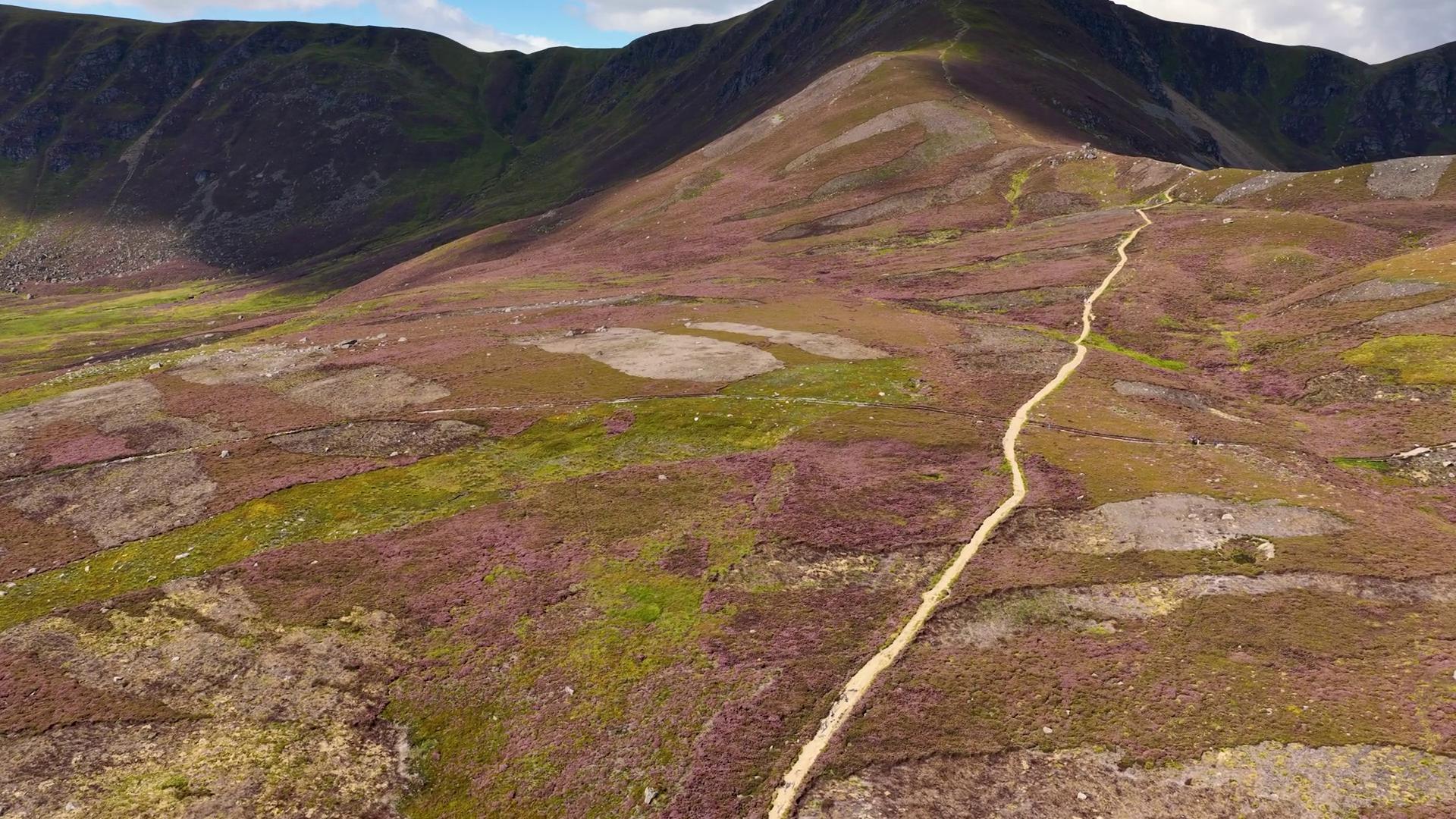 Aerial Flyover Of Heather Valley In Scottish Stock Footage SBV ...