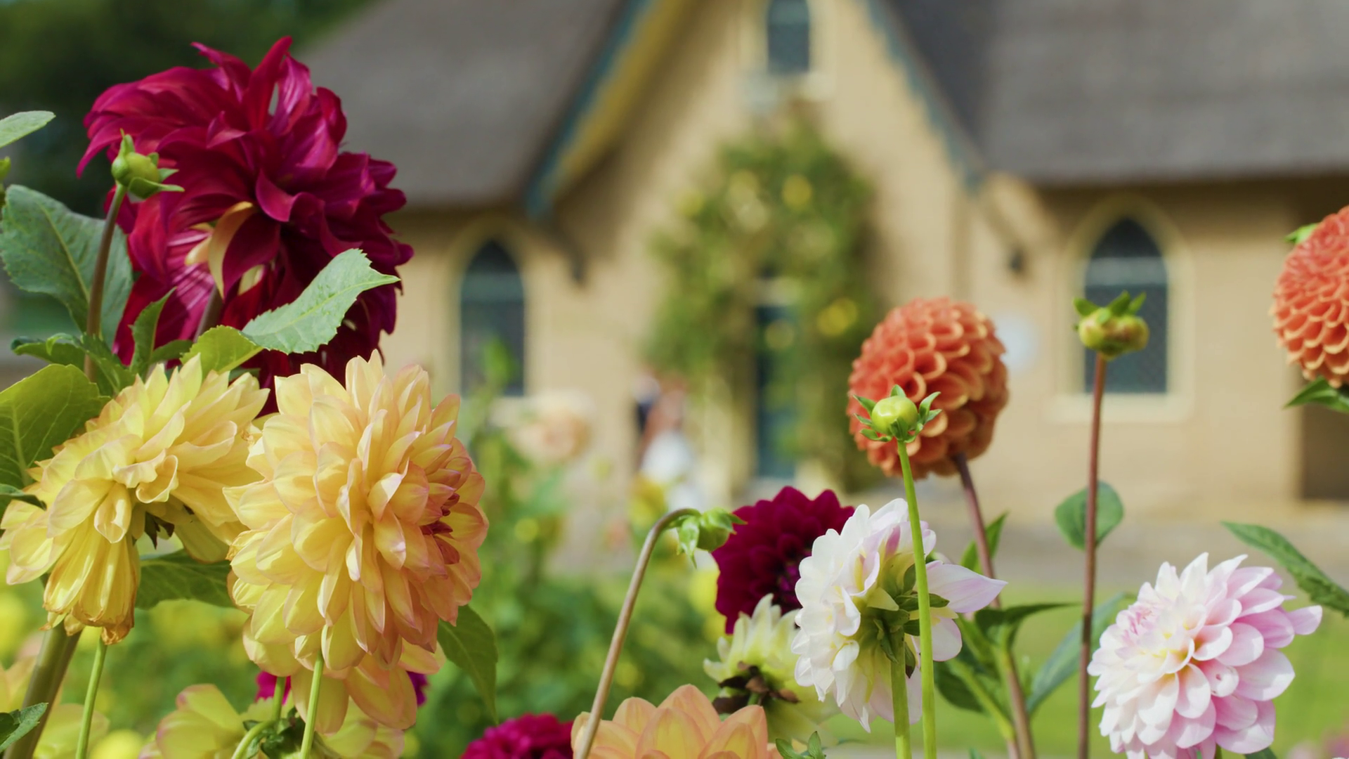 Spring Flowers At Historic Castle Gardens Stock Footage SBV-352721499 ...