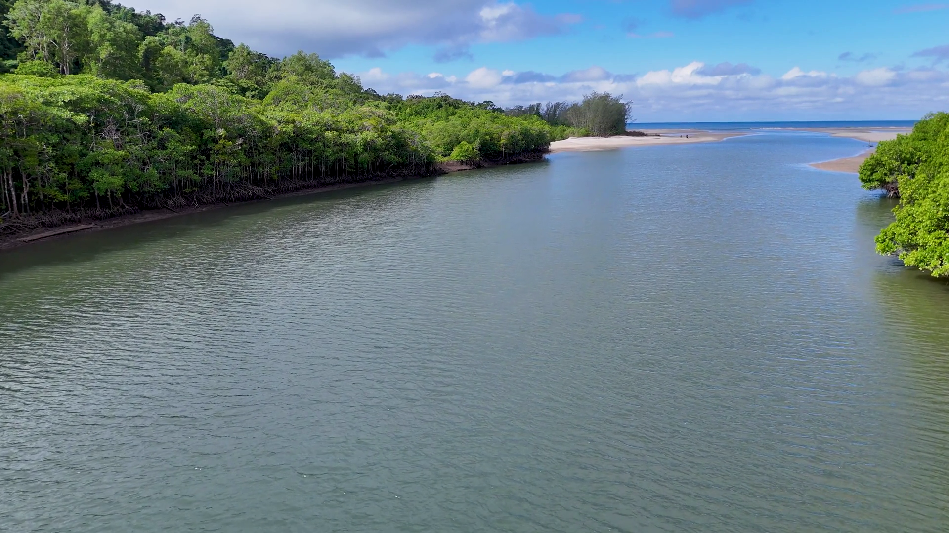 Drone Flyover Of Daintree River Mouth Stock Footage SBV-352513851 ...