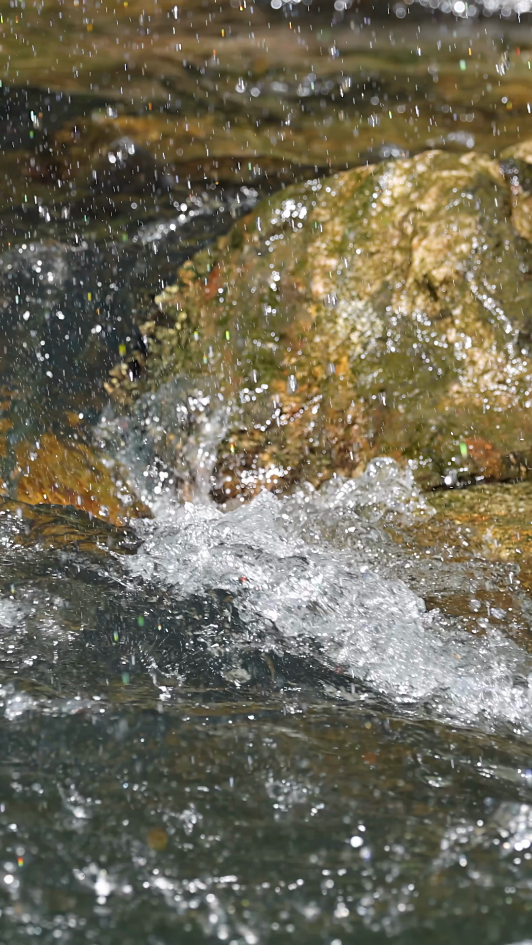 Rock Splash In Flowing Forest Creek Sunlit Stock Footage SBV-353096772 ...