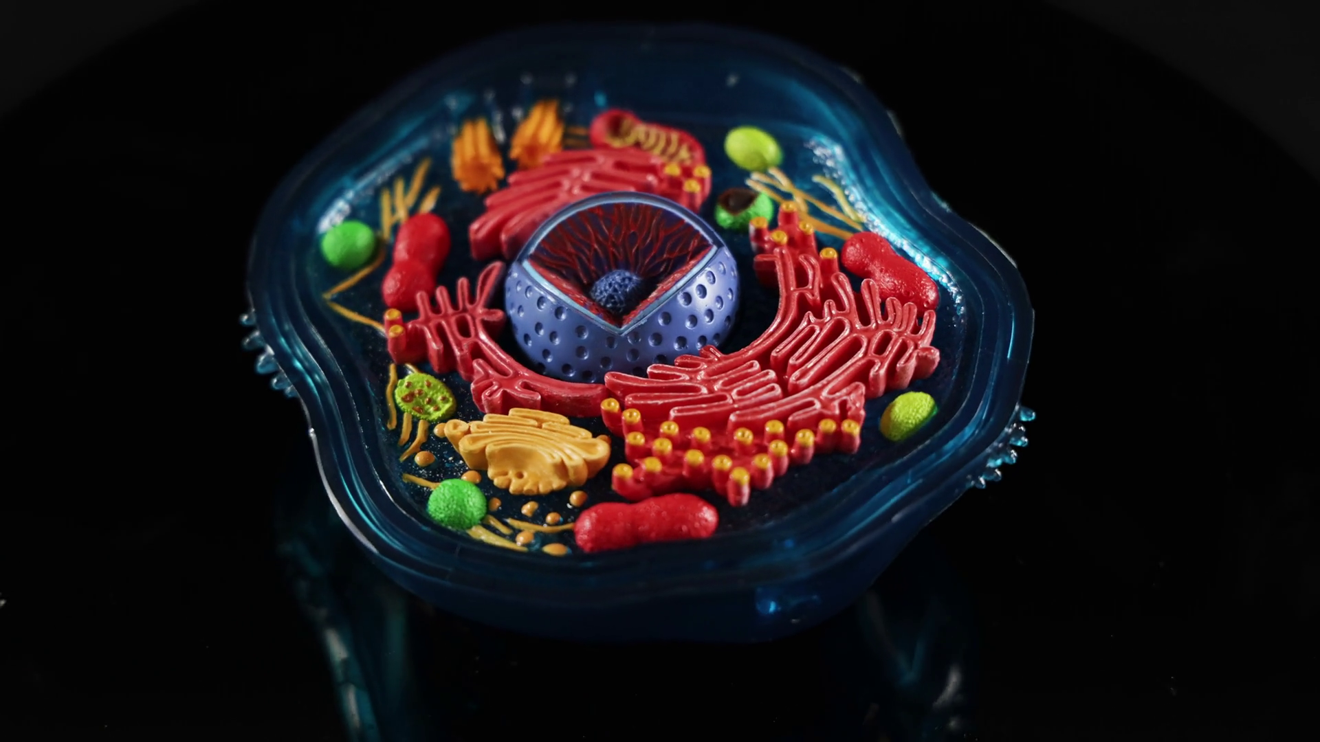 Protein Cell Model Animation Stock Footage SBV-352290648 - Storyblocks