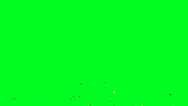 Celebration Green Screen Stock Footage: Royalty-Free Video Clips ...