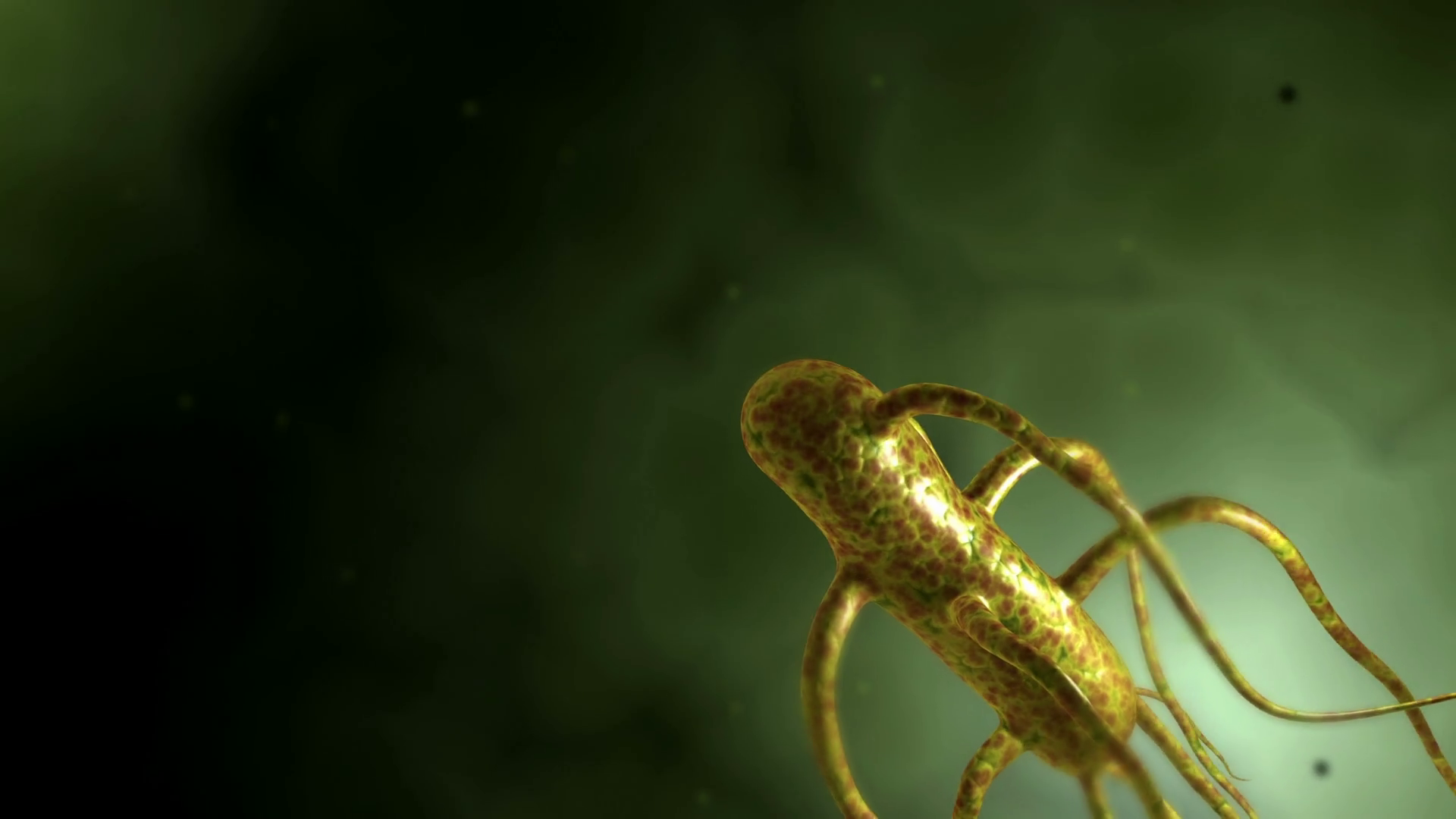 Biomedical Animation Of Rod-shaped Stock Motion Graphics SBV-348849221 ...