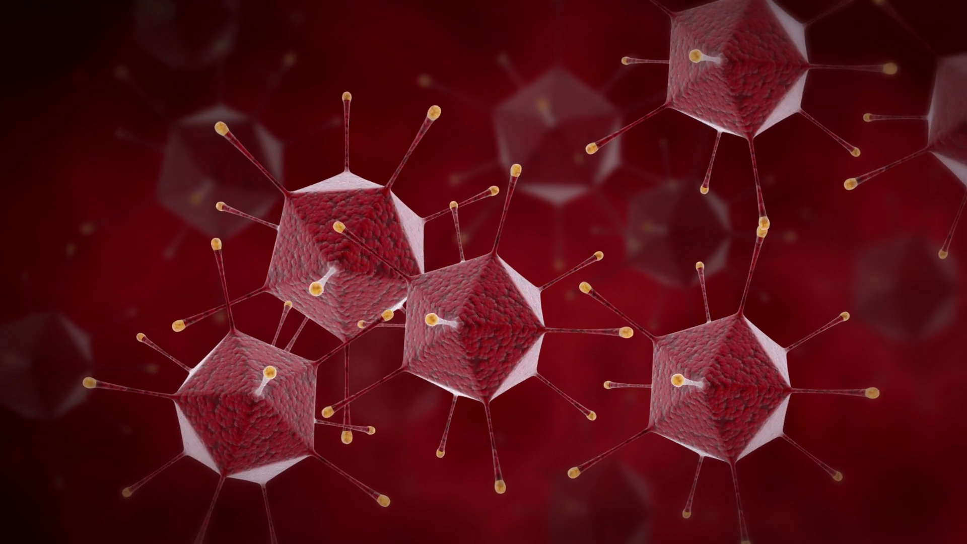 Biomedical Animation Of Adenovirus Stock Motion Graphics SBV-348849225 ...