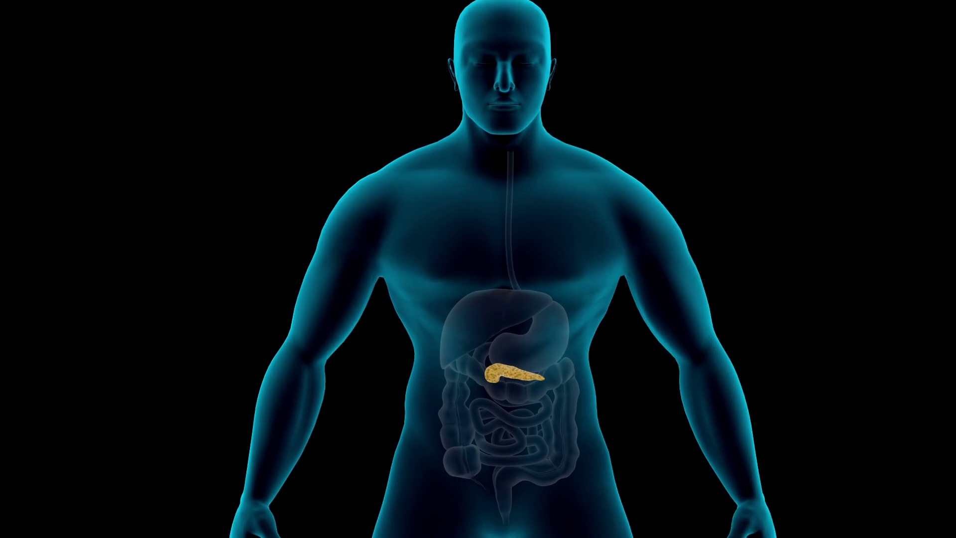 Biomedical Animation Of Diabetes Stock Motion Graphics SBV-348849253 ...