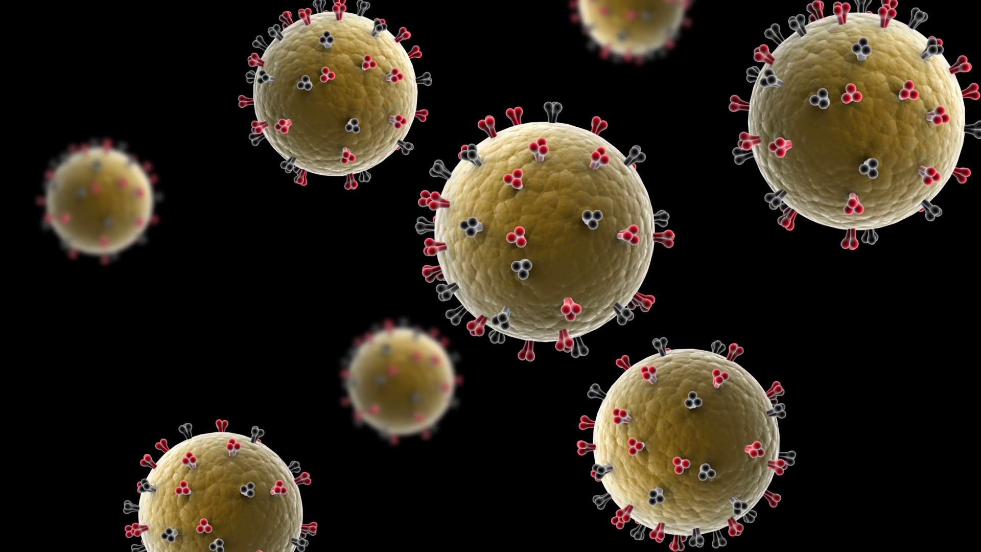 Biomedical Animation Of Infectious Disease Stock Footage SBV-351809960 - Storyblocks