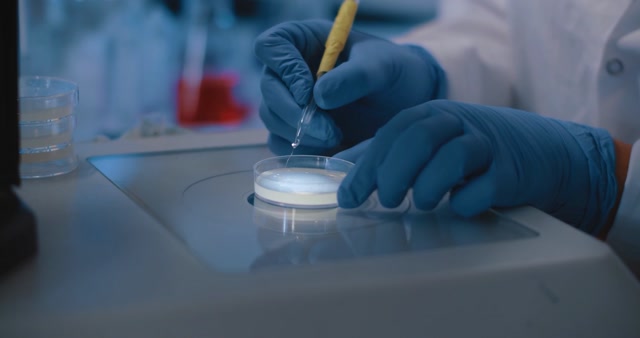 Microbiology Stock Footage: Royalty-Free Video Clips - Storyblocks