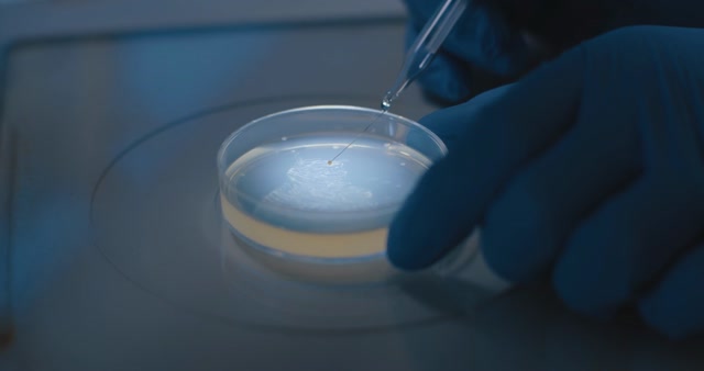 Samples Stock Footage: Royalty-Free Video Clips - Storyblocks