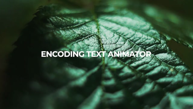 Complex Animation Templates Royalty-Free - Storyblocks