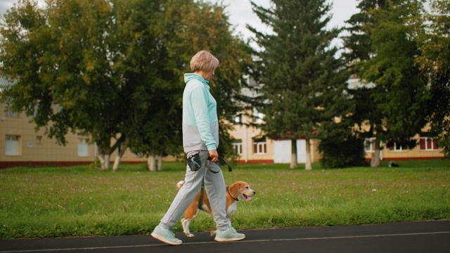 Walk Stroll Stock Footage: Royalty-Free Video Clips - Storyblocks