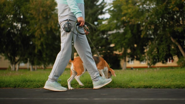 Relaxing Stroll Stock Footage: Royalty-Free Video Clips - Storyblocks