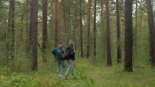 Forest Lovers Stock Footage: Royalty-Free Video Clips - Storyblocks