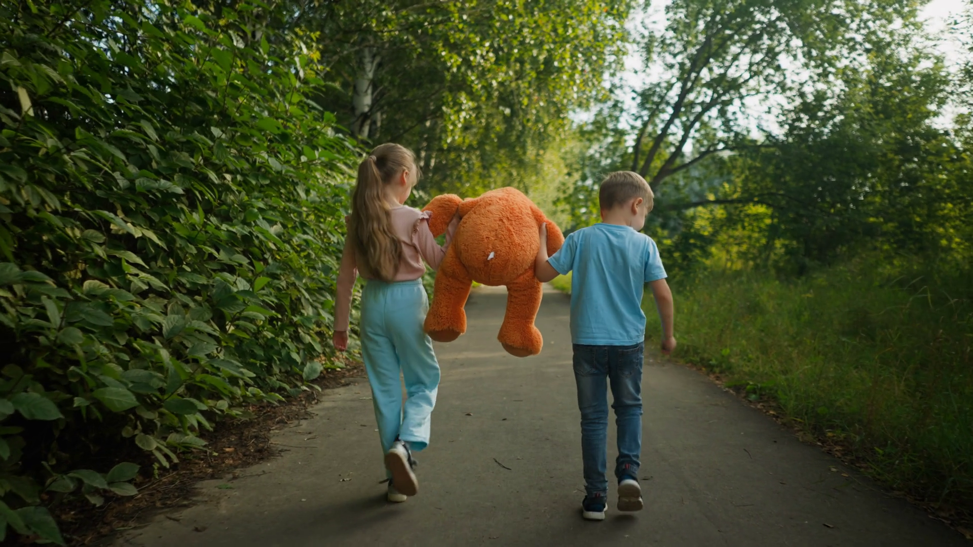 Back View Of Young Siblings Walking Side Stock Footage SBV-352251857 ...