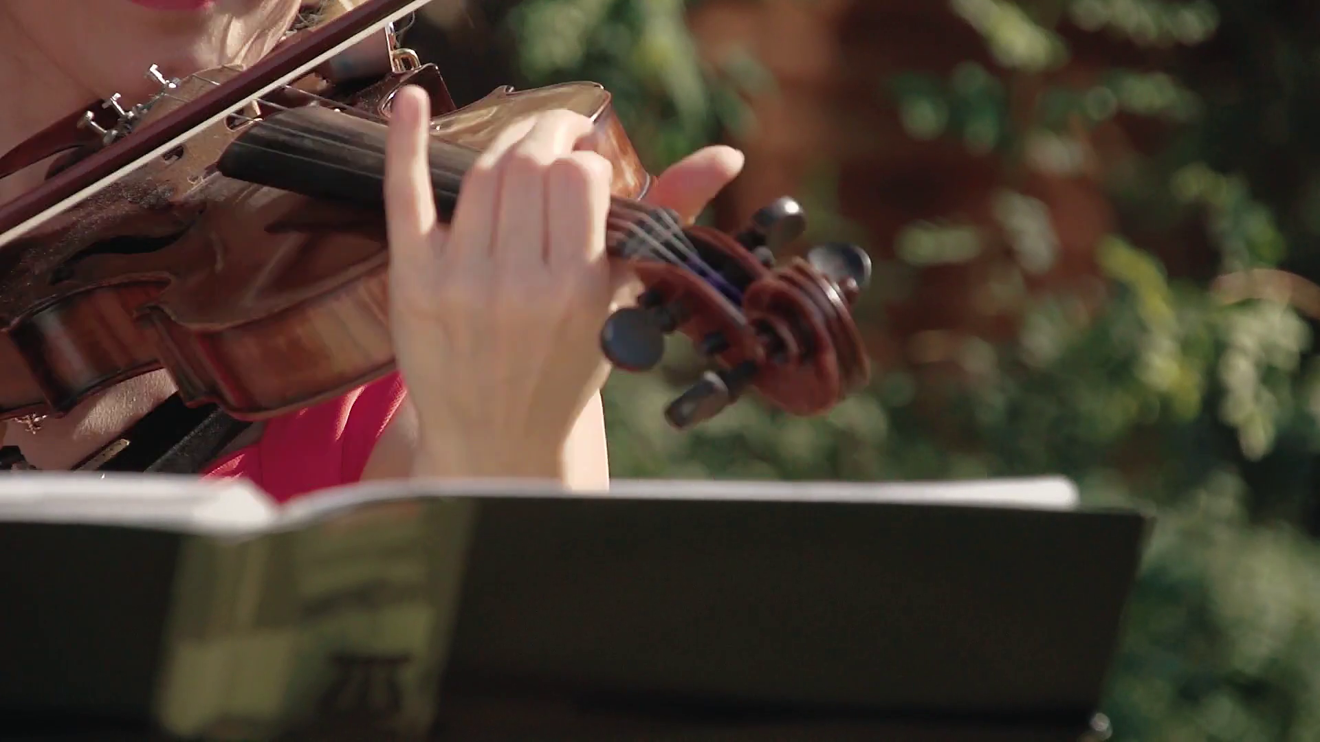 Young Pretty Girl Violinist Playing Violin Stock Footage SBV-347419841 ...