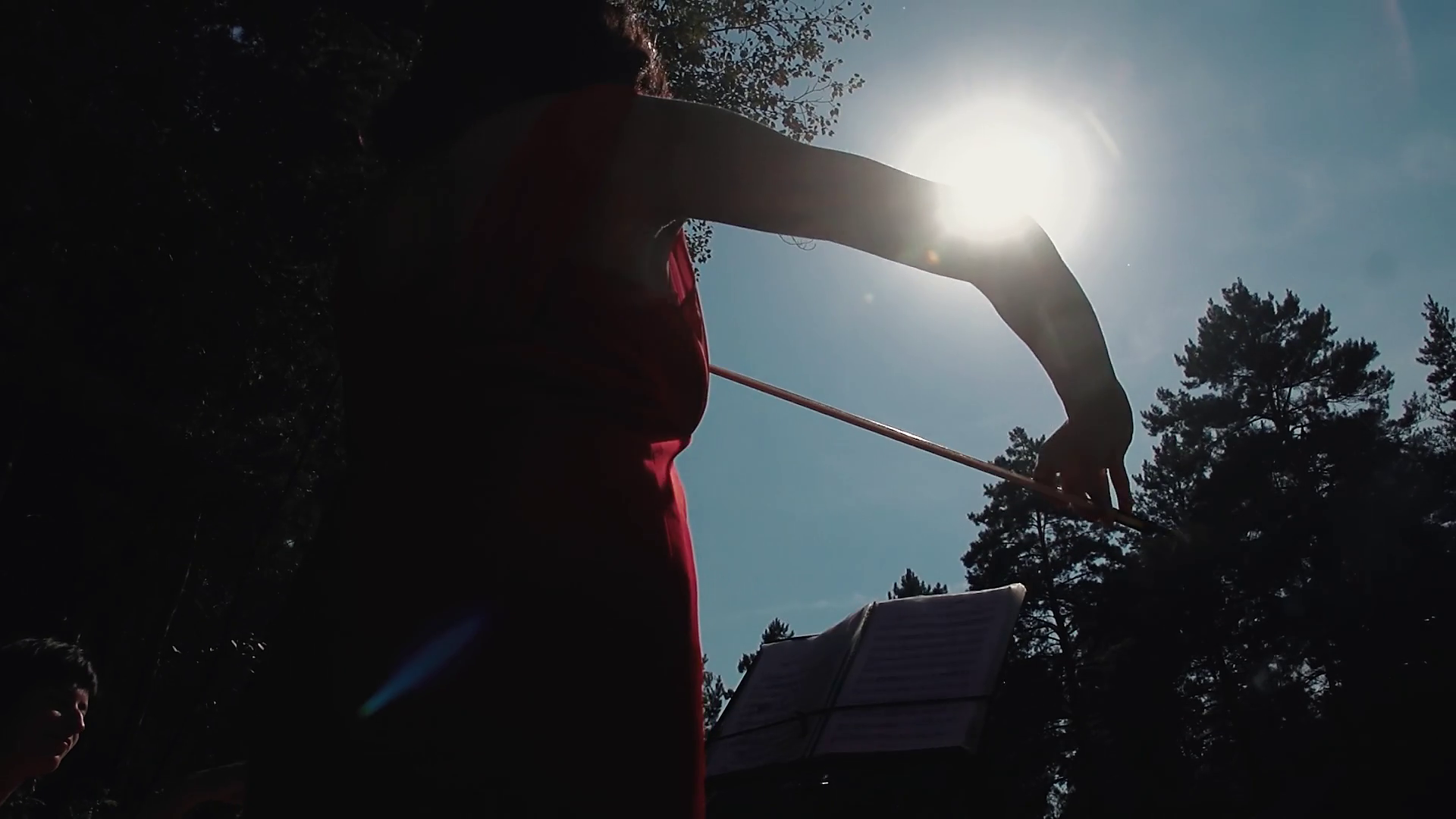 Ensemble Of Female Musicians Playing Stock Footage SBV-347419848 ...