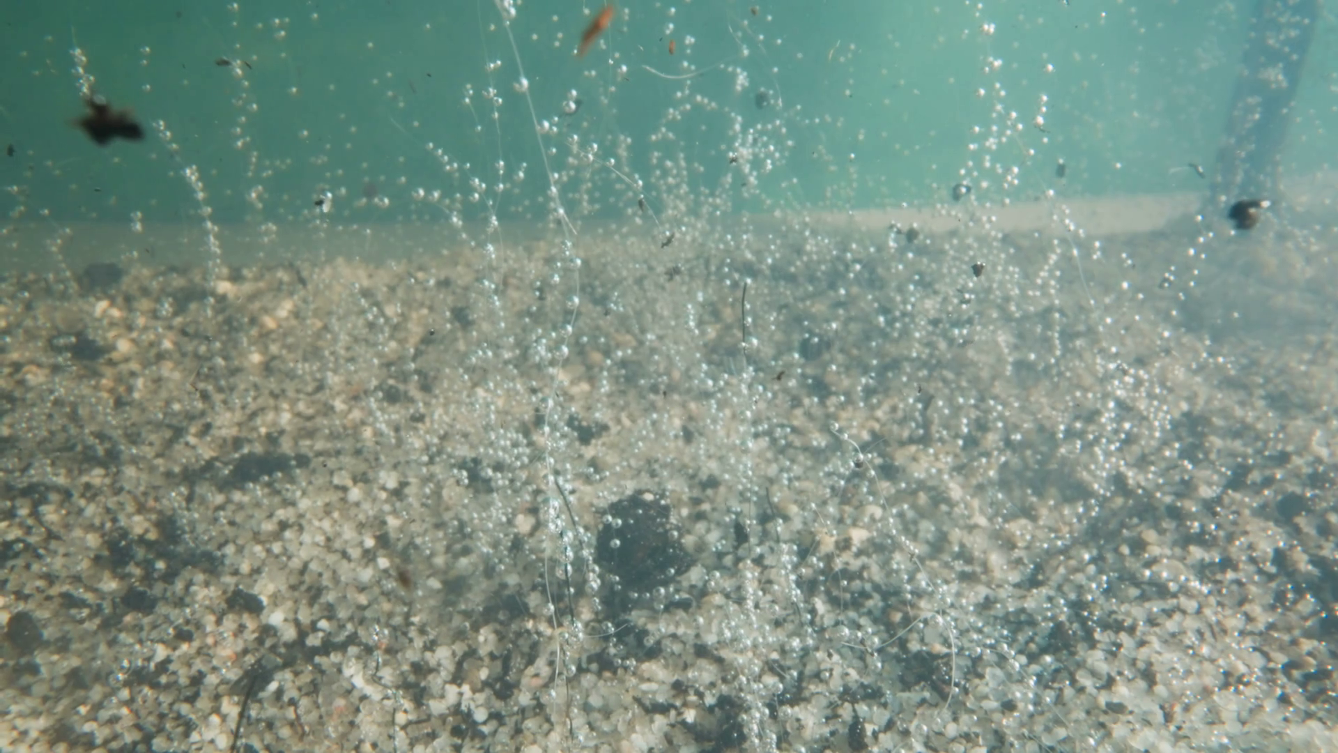 Gentle Invisible Weeds Covered With Air Stock Footage SBV-348629488 ...