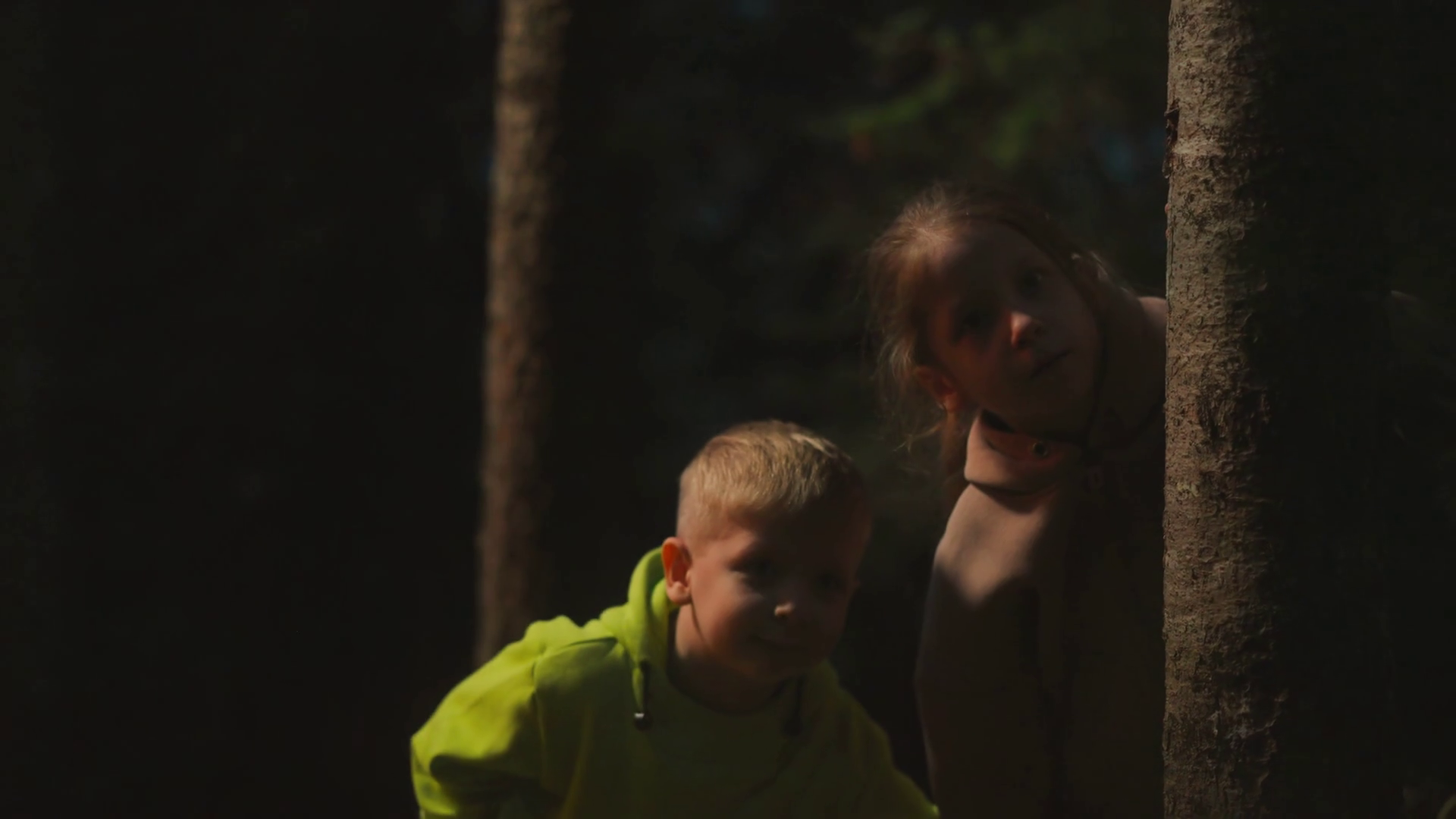 Children Hide Behind Tree In Night Wood Stock Footage SBV-348585192 ...