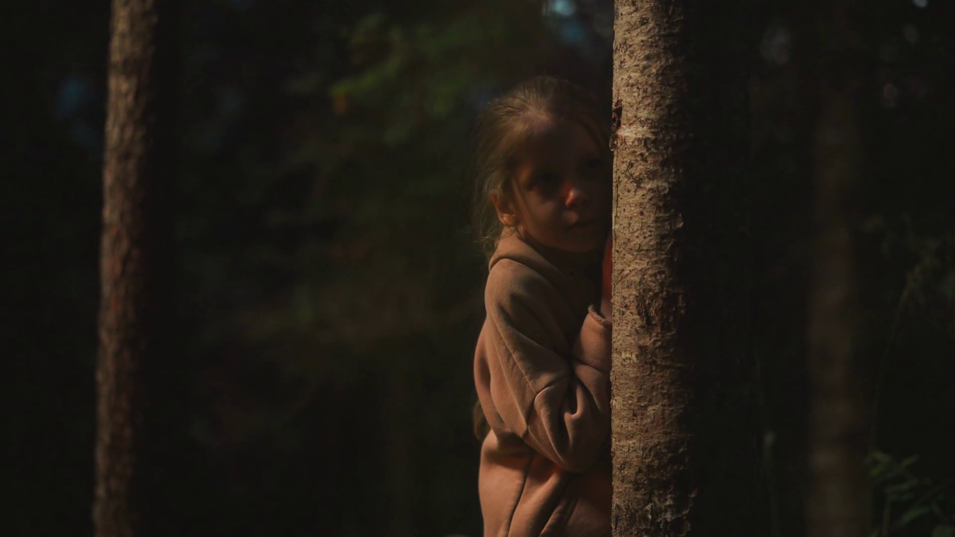 Scared Child Hides Behind Tree Trunk In Stock Footage SBV-348585217 ...