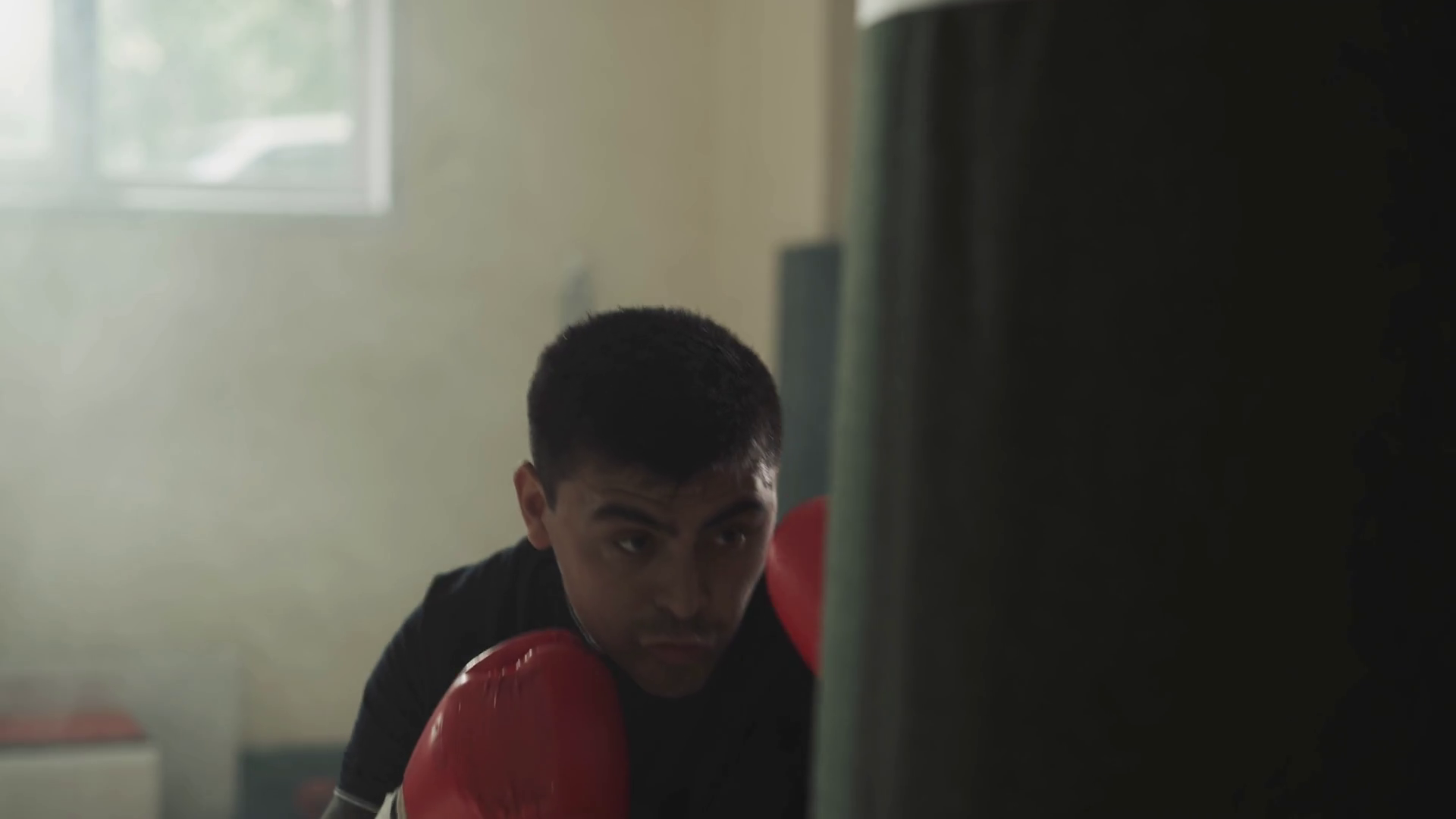 Dynamic Man Involved In Professional Boxing Stock Footage SBV-348690243 ...